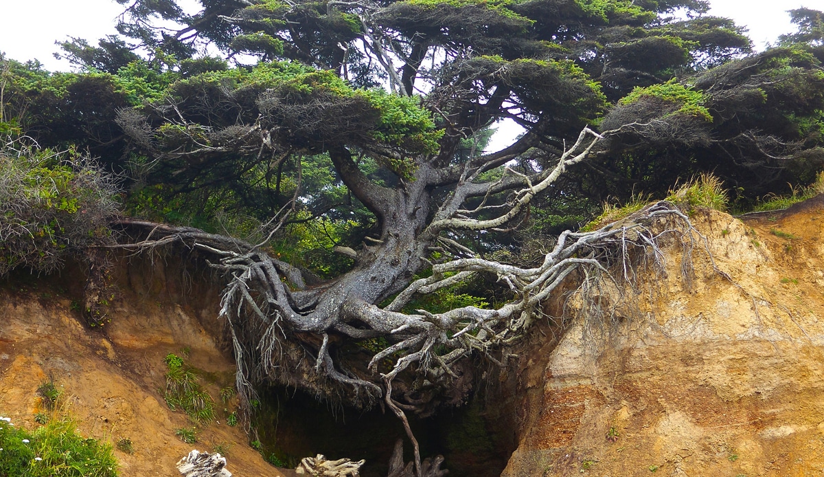 Productivity vs Resilience – Novia Works Ltd